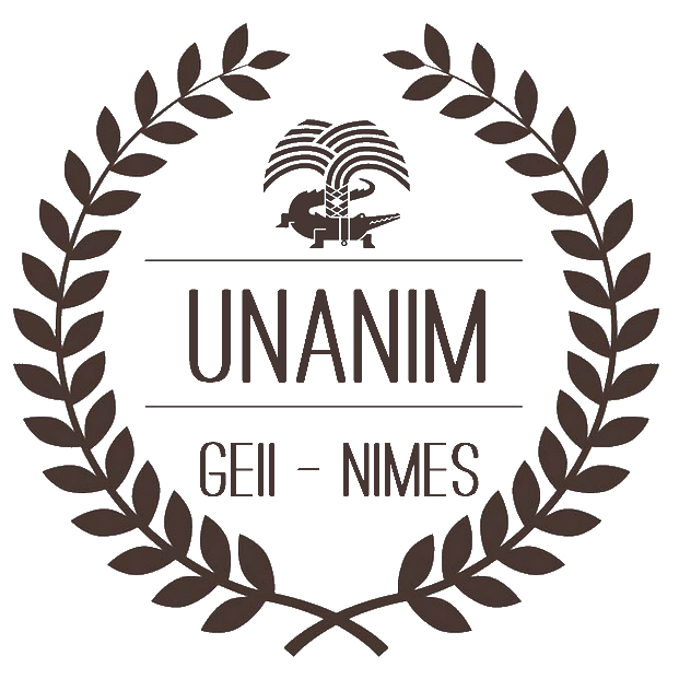 Student association of the GEII department - IUT de Nîmes