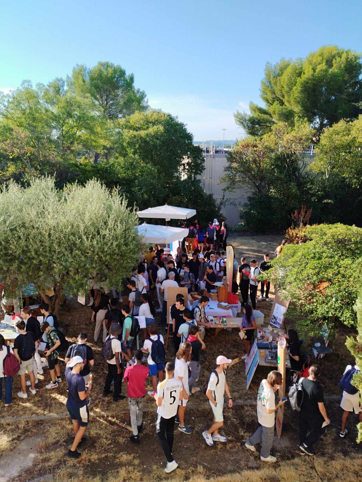 Immersion des étudiants - IUT de Nîmes